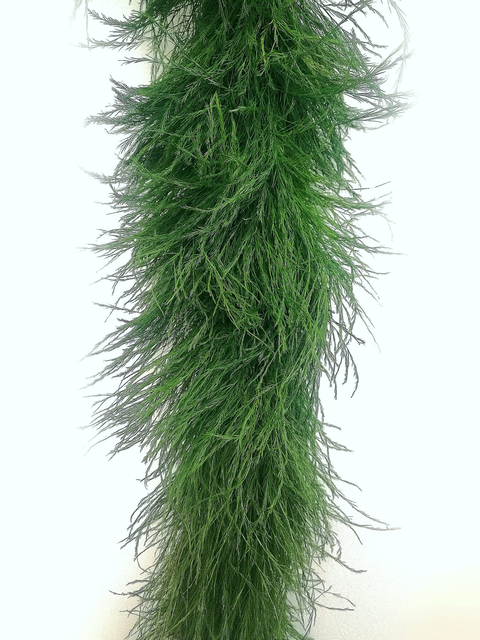 Tree Fern Garland tree-fern-garland