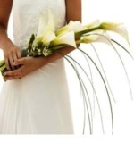 Bridal Bouquet Splendor - Amazon Flowers - Proms & Weddings