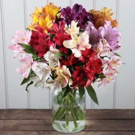 Wedding Flowers, Prom Flowers & Wholesale Fresh Cut Flowers | Amazon ...